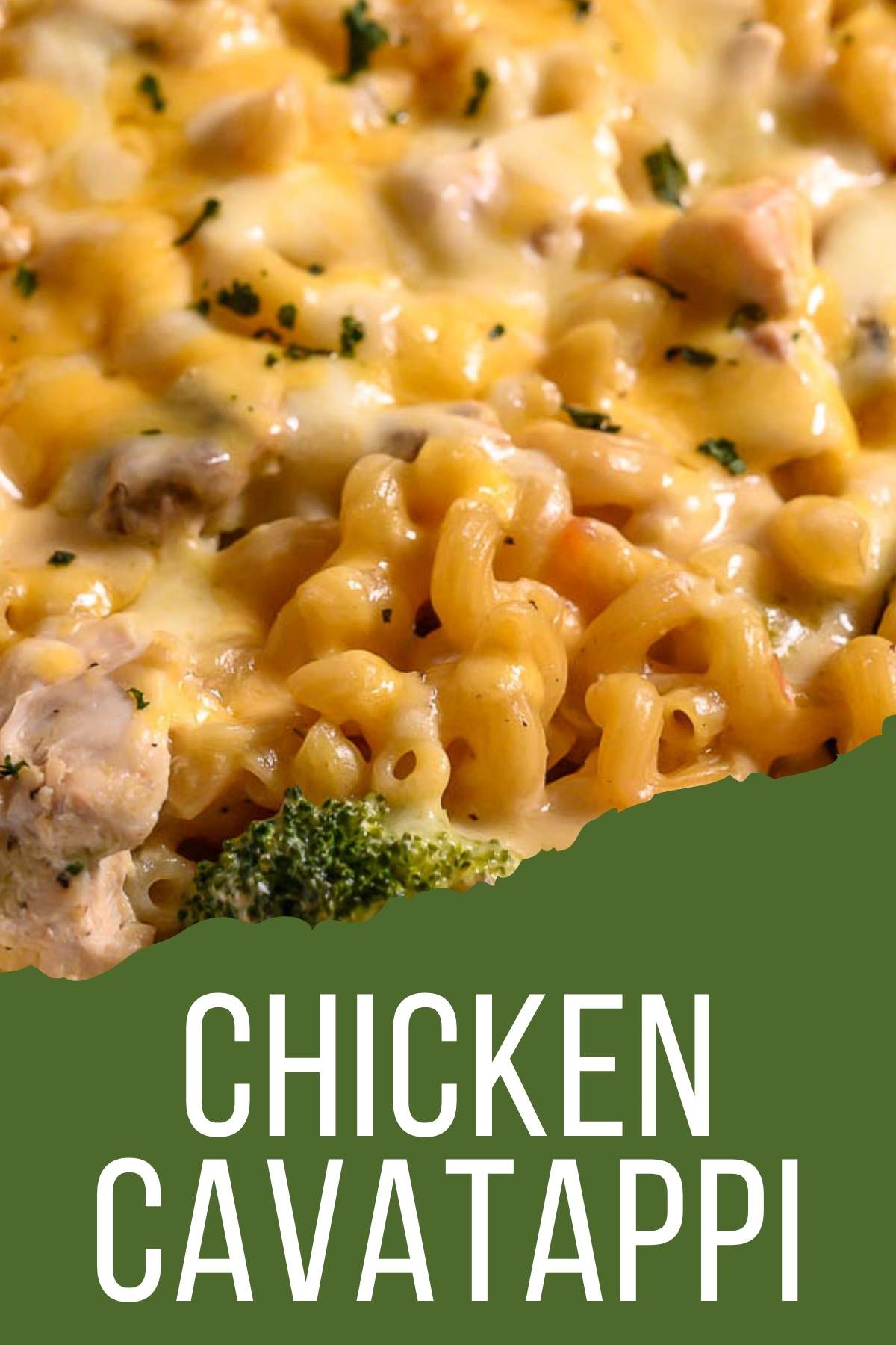 Cavatappi Chicken Pasta • Zona Cooks